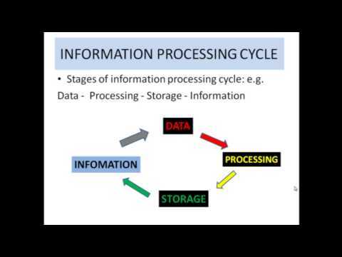 infomation processing cycle @ GROUP FIVE (5)